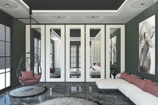 Panglass Auto Double Glazed Glass|Partition Wall System