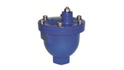 Combination Air Valve | Wastewater Products | Dutco Tennant
