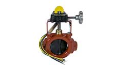 Zone Control Valve Assembly | Industrial Firefighting Valves | Dutco